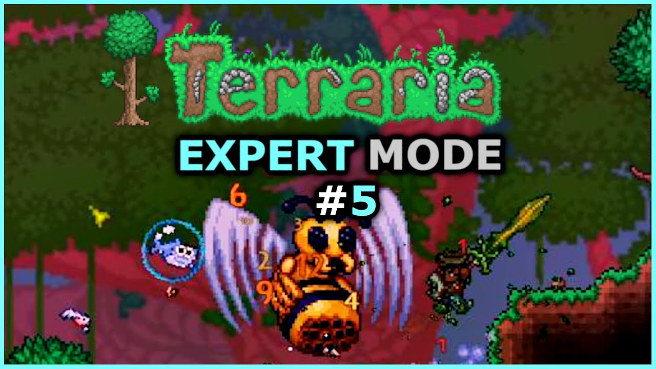 My Most CHAOTIC Terraria Battle Ever! - YouTube