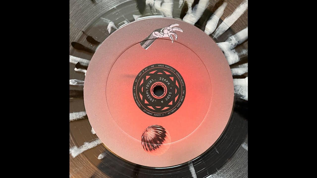 Wave Particle Singularity - The Mind-Body Problem [ZNGBRLTDX01] - YouTube