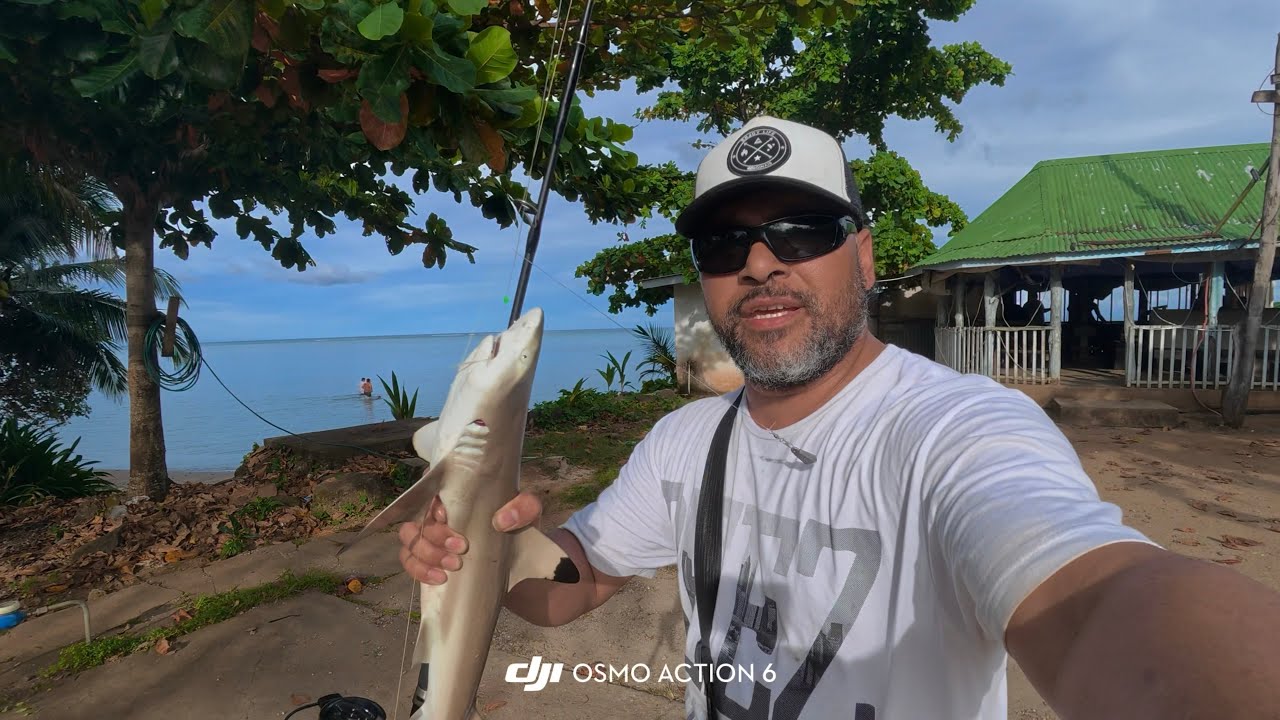 Caught a baby shark in Samoa - YouTube