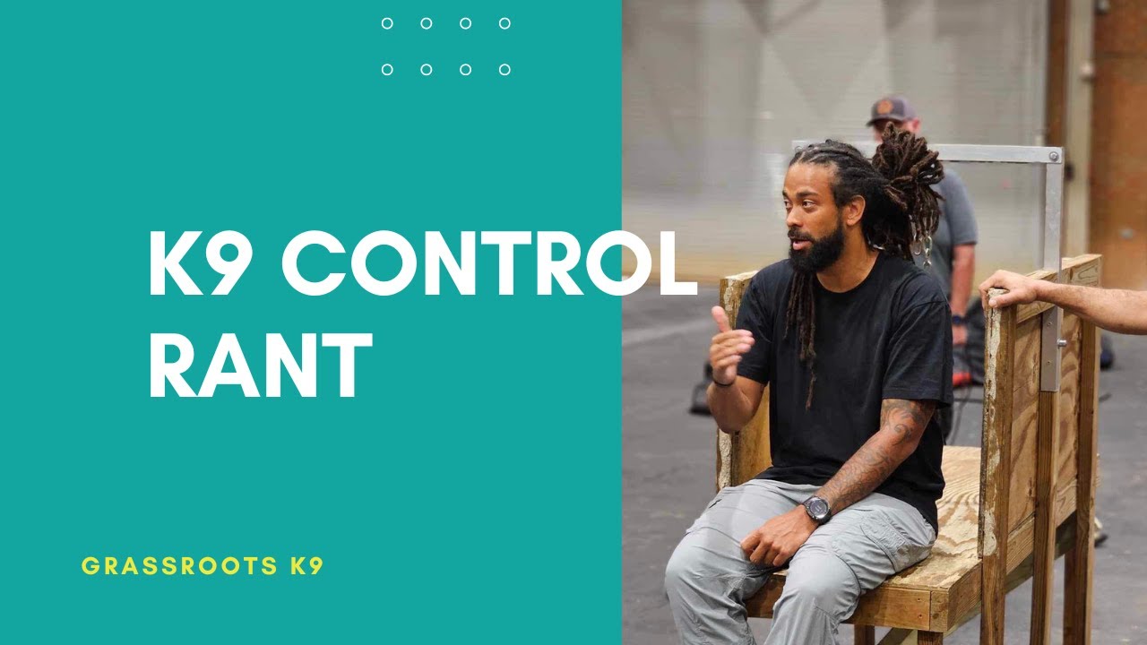 Control & Obedience Police K9 - YouTube