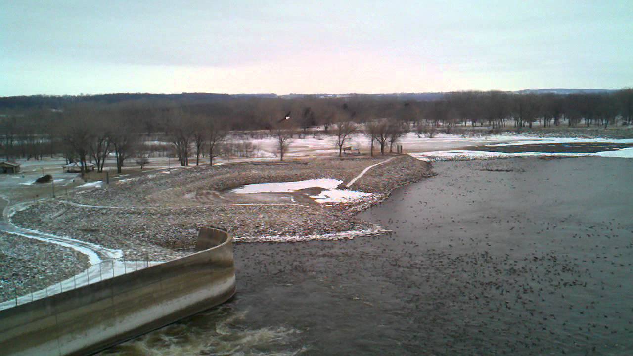 Bald Eagle, Red Rock Dam Iowa - YouTube