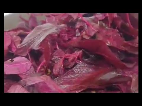 Favourite Laal Saag Recipe | Red Amaranth | Healthy Living - YouTube