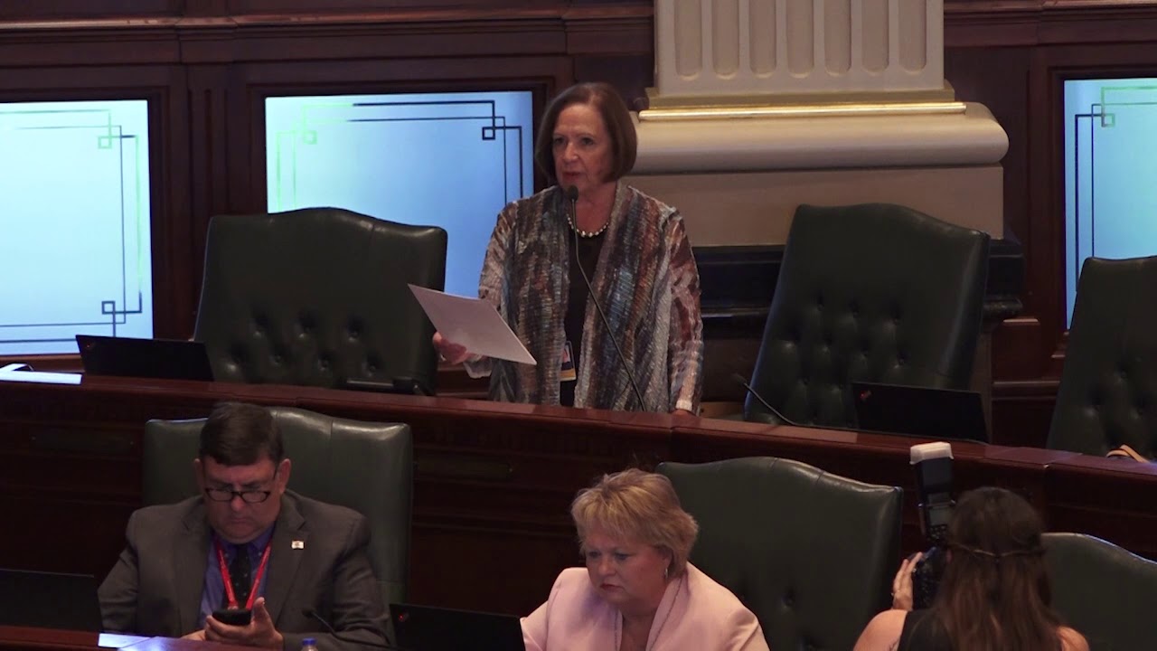 Rep. Hammond presents HJR 73, honoring Lt. Col. John Stein - YouTube