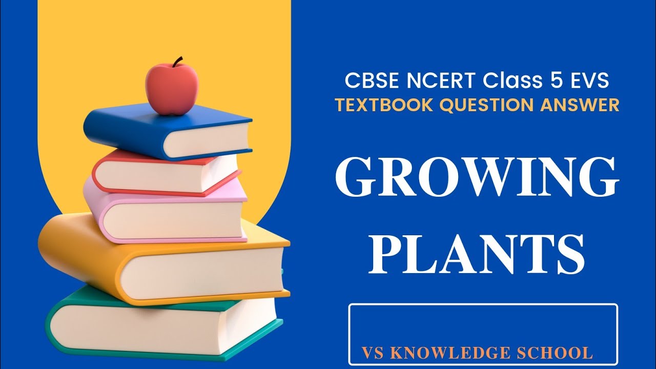 Growing Plants _ CBSE class 5 Textbook Workbook Question Answer - YouTube