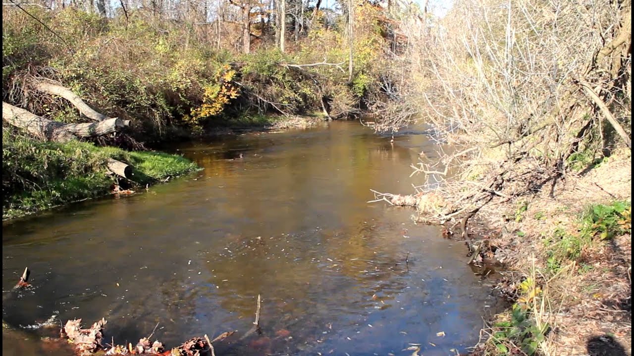 Irondequoit Creek in Spring Lake Park - YouTube