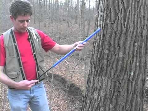 Tree Coring Part 1 - YouTube