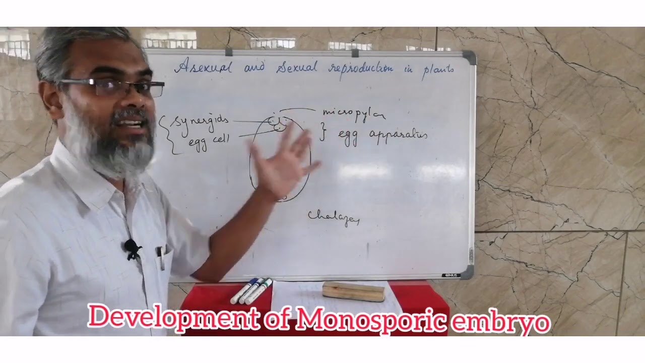 Class 12 Bio Botany Lesson 1 (part 6) - YouTube