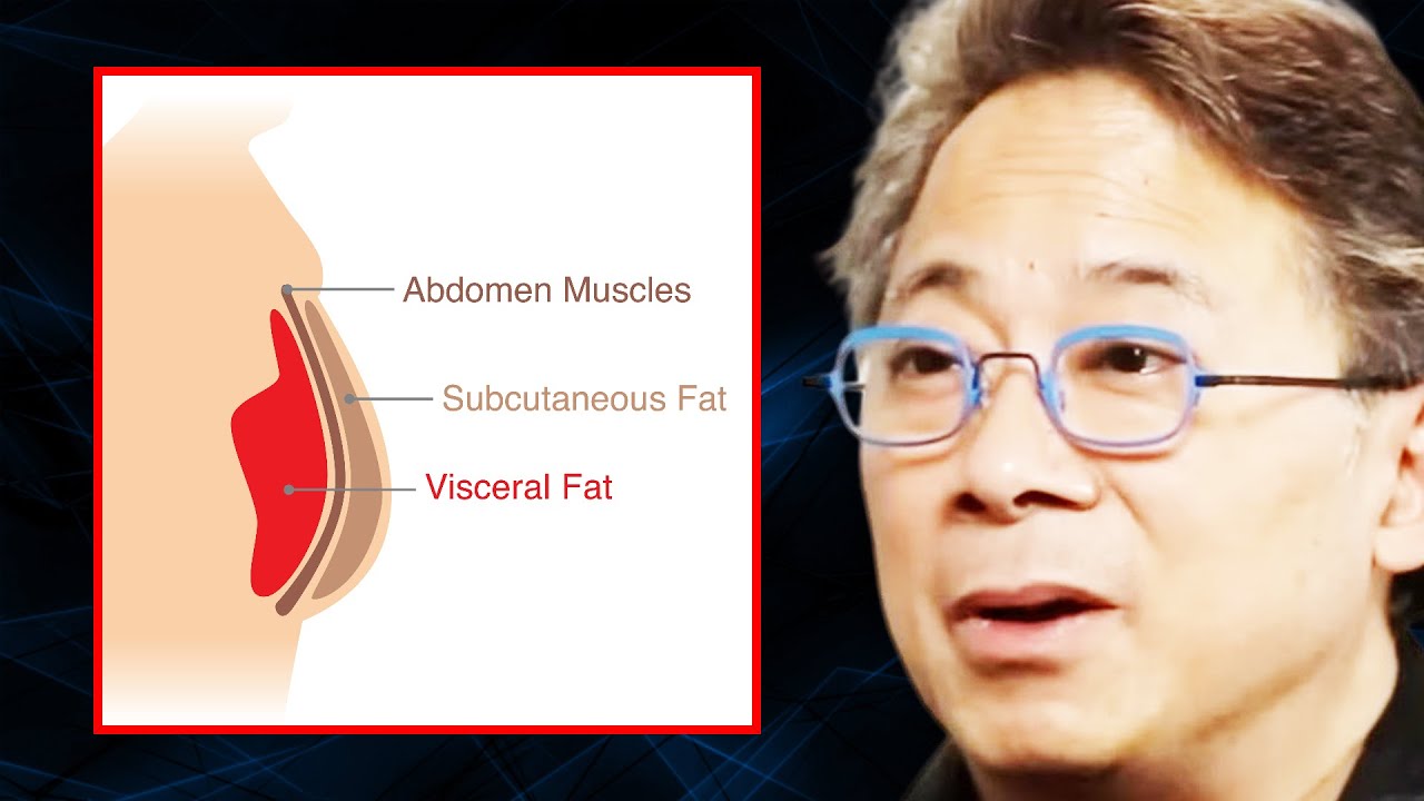 The EASIEST Way to Determine if You Have Too Much Visceral Fat (Check ...