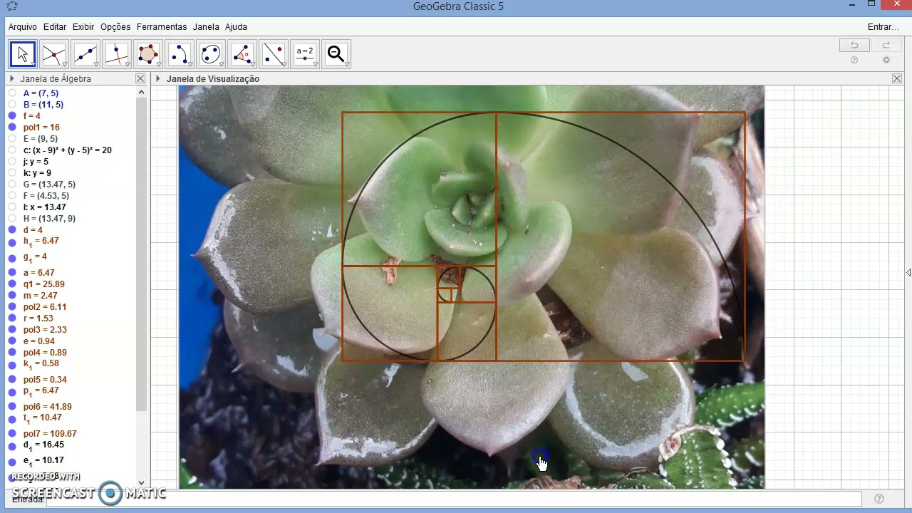 Espiral de Fibonacci sobre una imagen con el Geogebra - YouTube