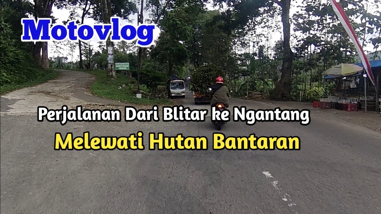 Perjalanan Blitar - Ngantang Malang lewat Hutan Bantaran - YouTube