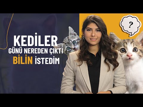 Bugün Dünya Kediler Günü