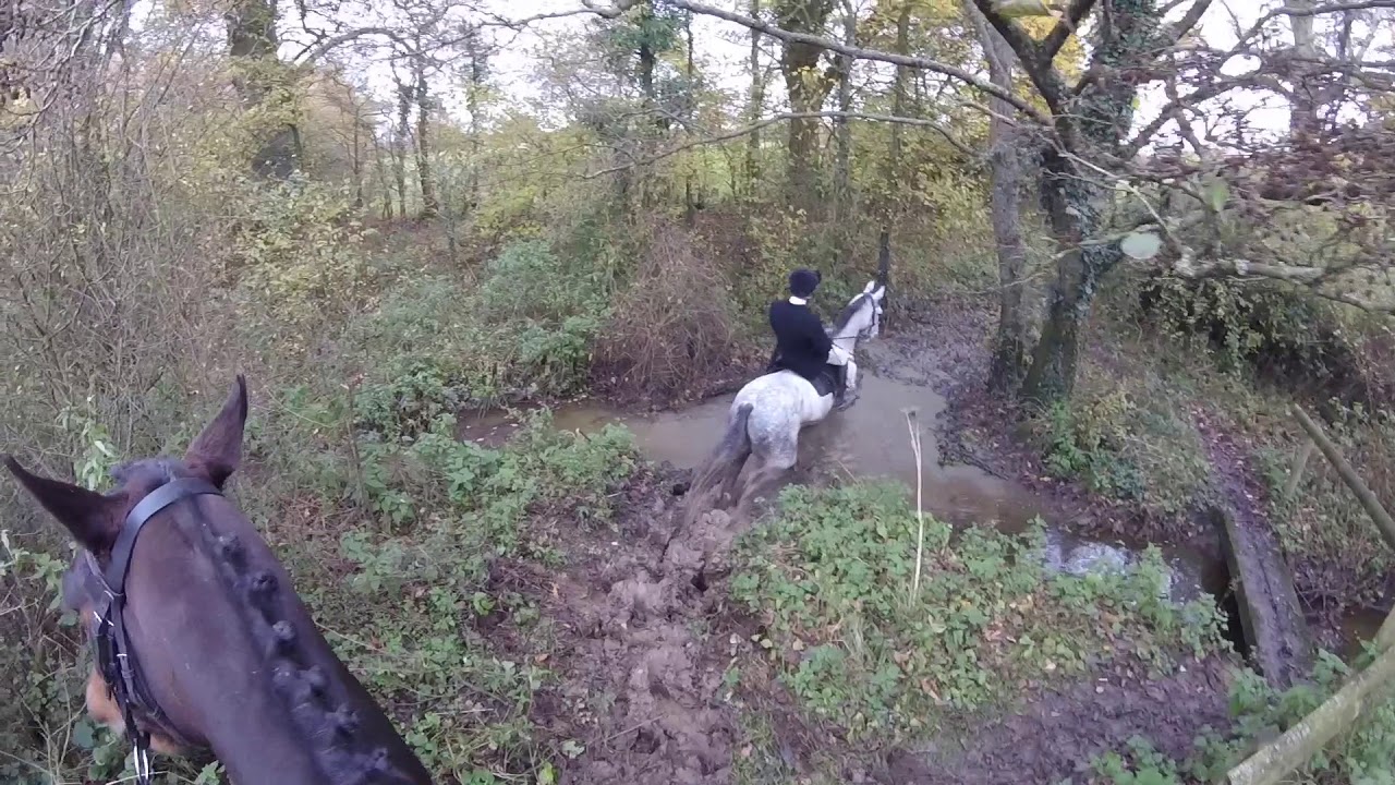 Portman Hunt 15/11/17 - YouTube