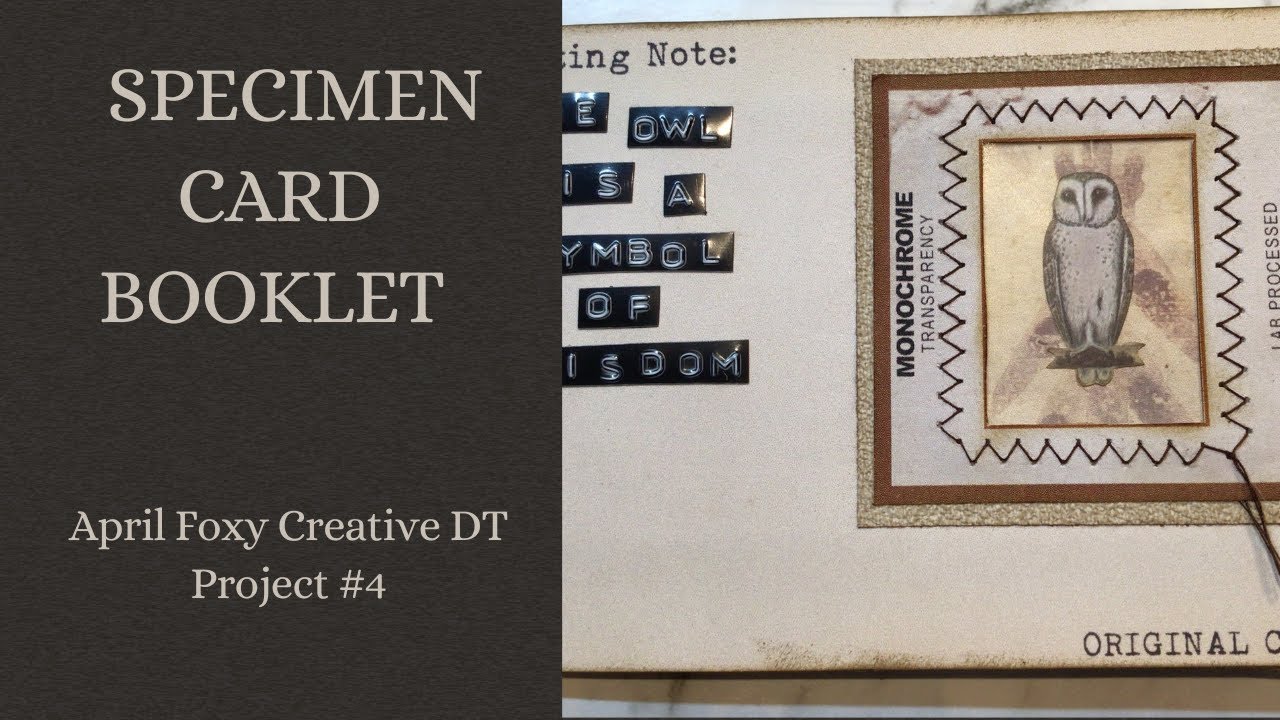 Specimen Card booklet - April DTP for Tracie Fox Creative #4 - YouTube
