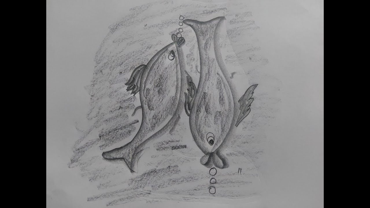 Fish Drawing For Beginners || How toDraw Fish Step By Step || Easy ...