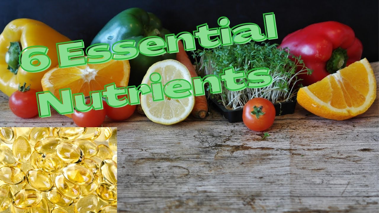 6 Essential Nutrients 6 அத்தியாவசிய ஊட்டச்சத்துக்கள் Youtube
