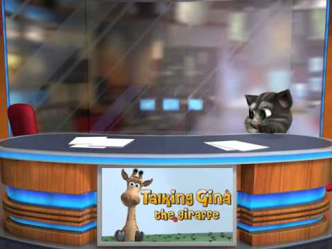 Kurdi Komedi Tom cat