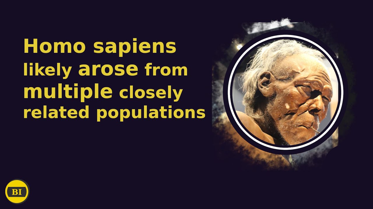 Homo sapiens likely arose from multiple closely related populations ...