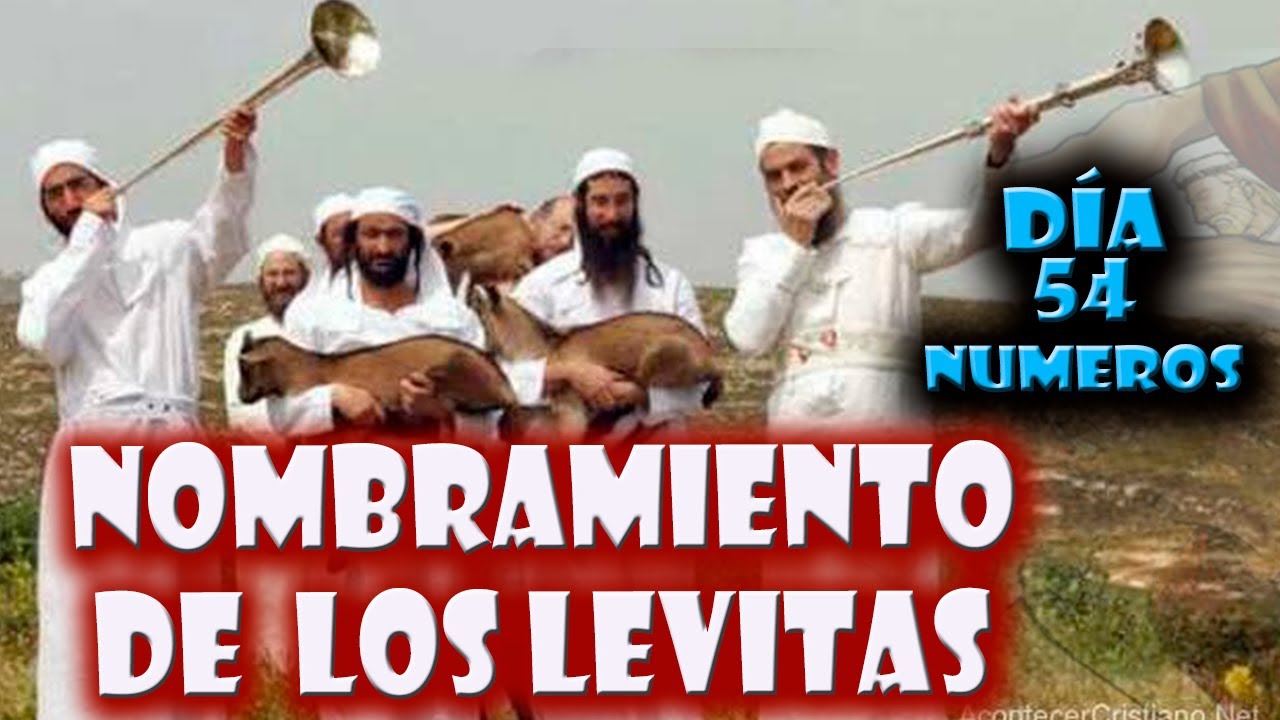 LA BIBLA EN UN AÑO DIA 54 Nombramiento de los levitas Números 1-2 Reina ...