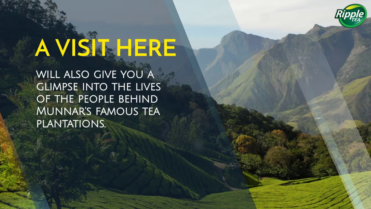 KDHP Tea Museum - YouTube