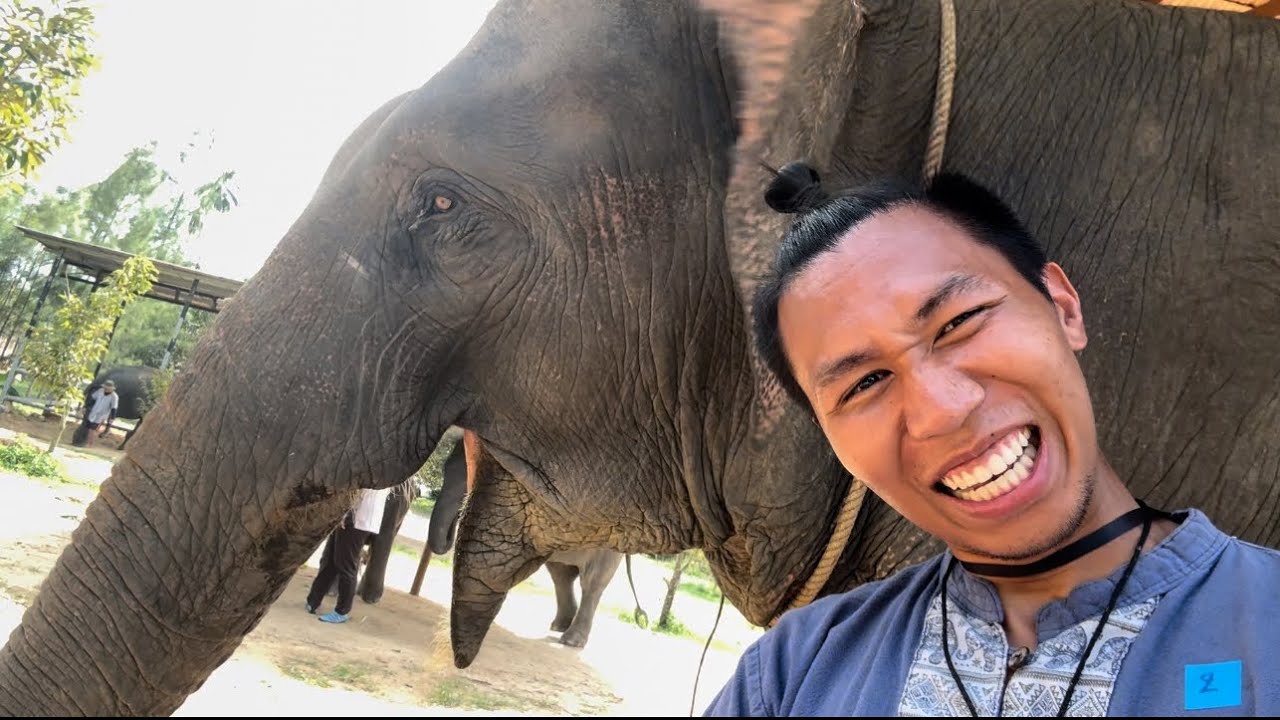 Samui Elephant Spa at Ko Samui Island - May 25, 2024 - YouTube