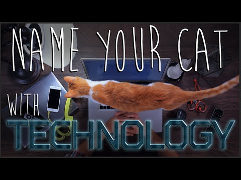 How to Name Your Cat Using Technology - YouTube