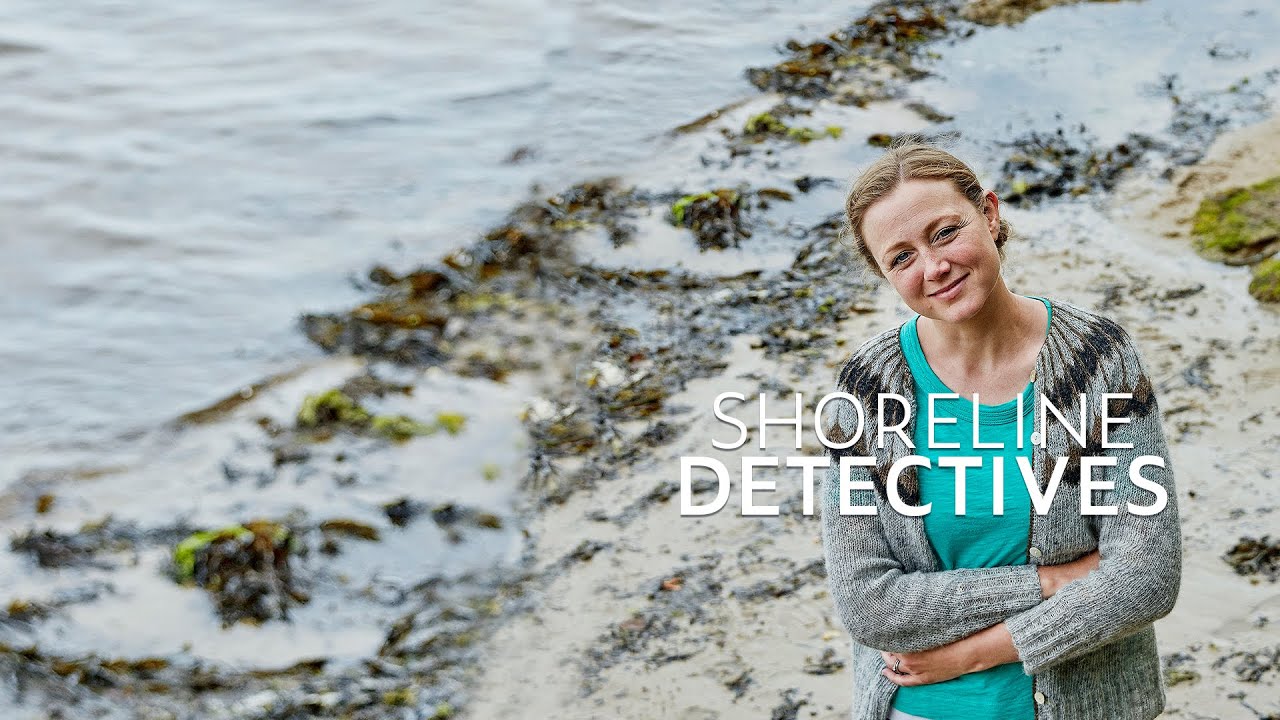 Shoreline Detectives | Knowledge Network - YouTube