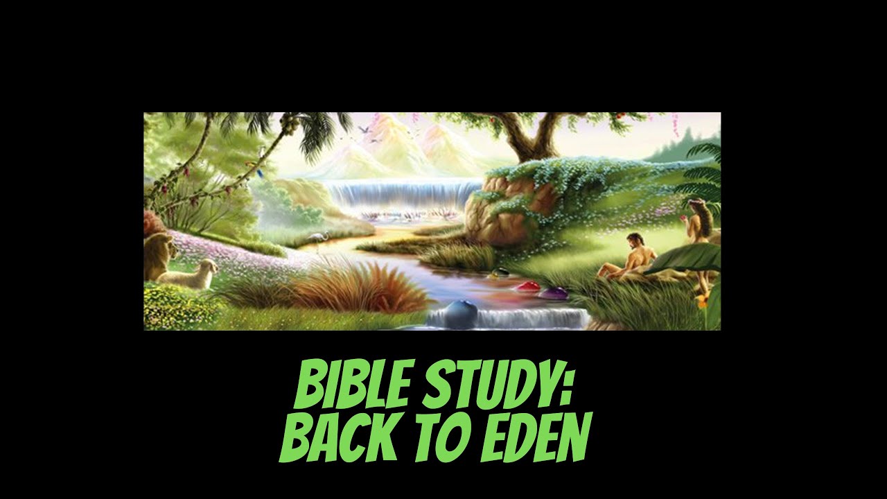 Bible Study: Back To Eden - YouTube
