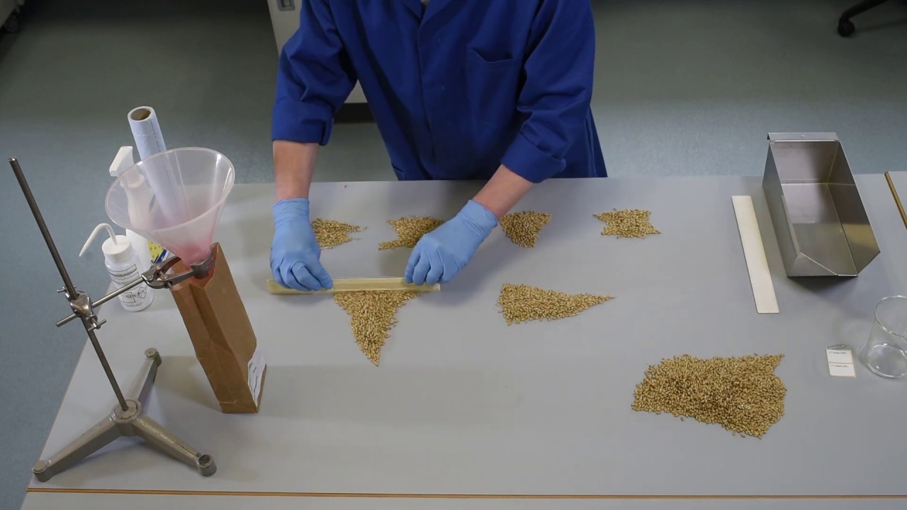 ISTA Hand halving - YouTube