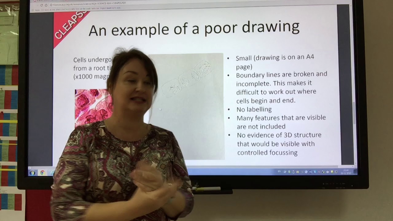 How to do a Biological Drawing CPAC - YouTube