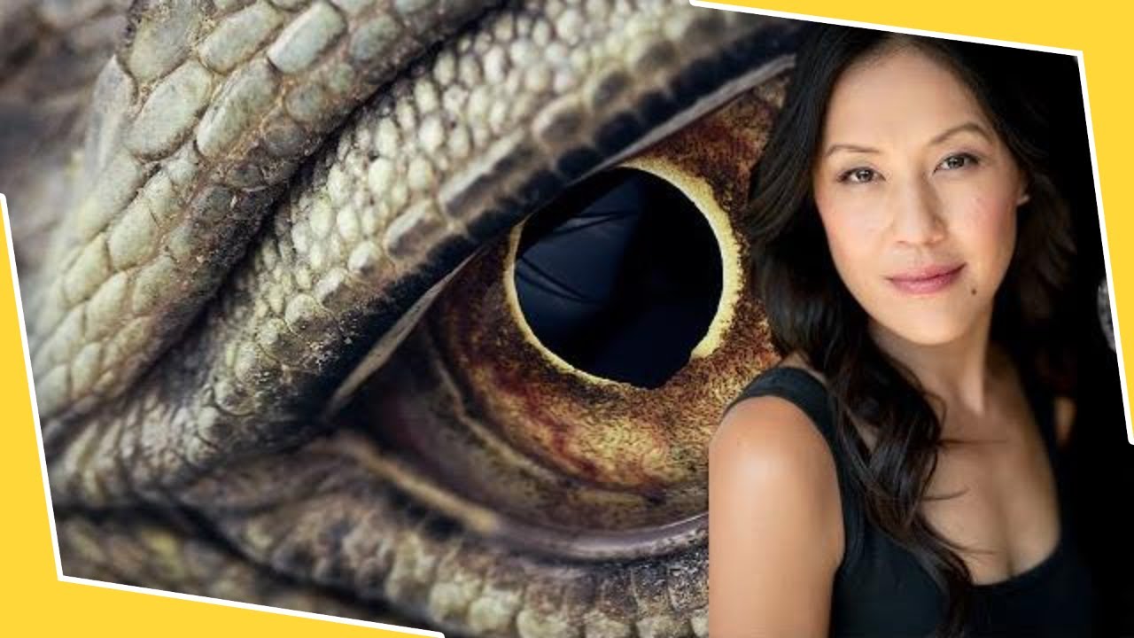 Breaking into Australian film - Renee Lim's route to success - YouTube
