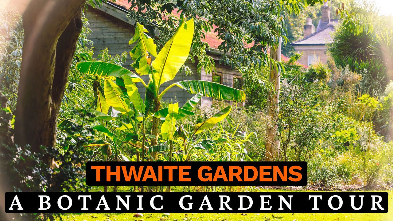 Thwaite Gardens September Tour with Steve Howe - Exotic Plants ...