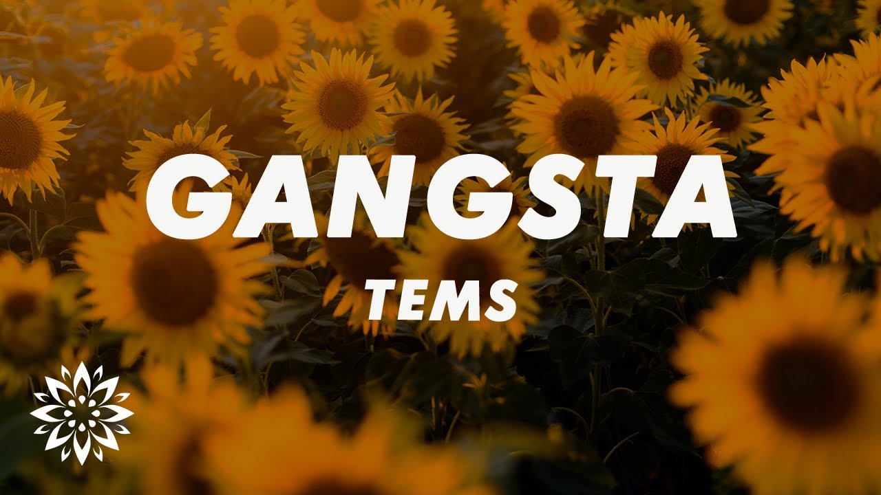 Tems - Gangsta (Lyrics) - YouTube