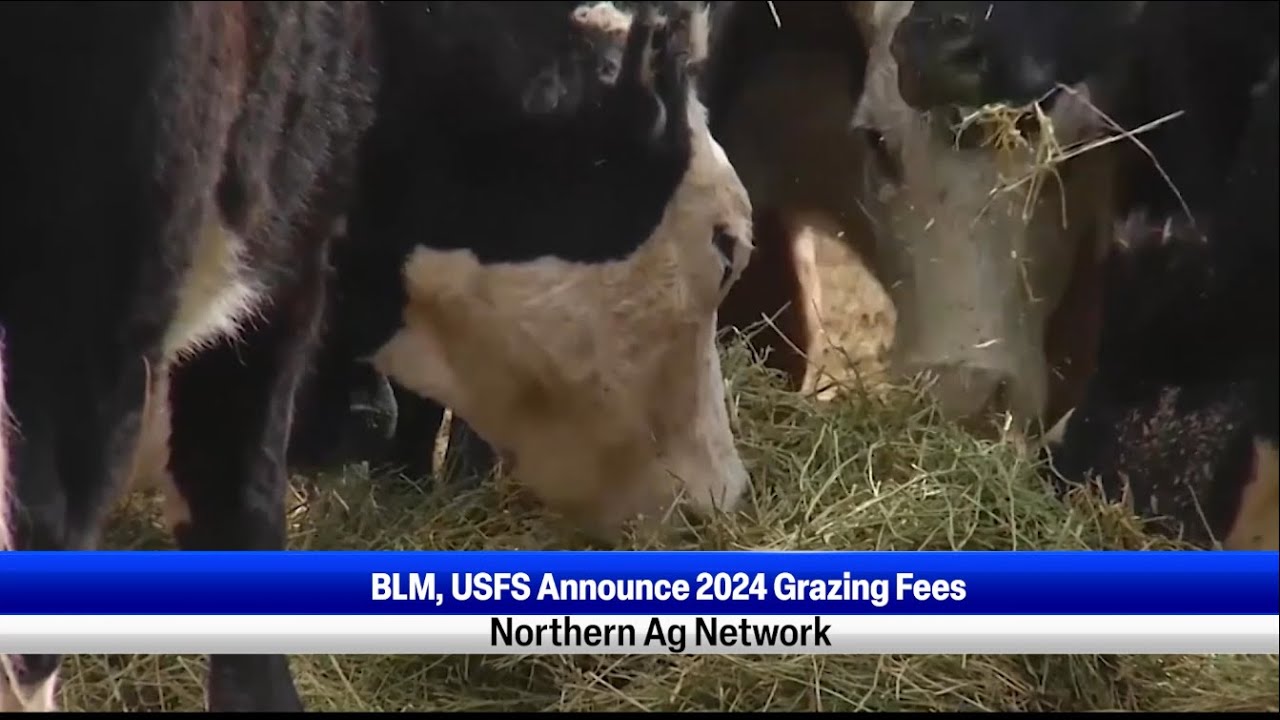 BLM, USFS Announce 2024 Grazing Fees - YouTube