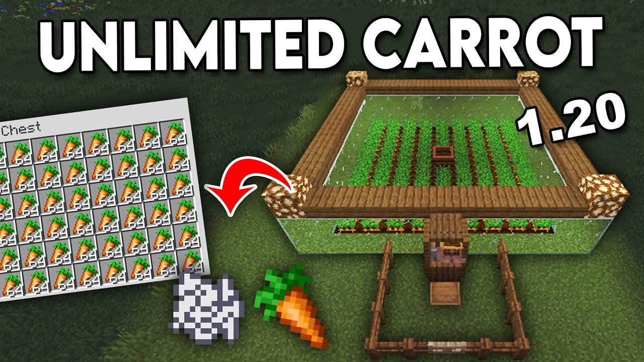 Easiest and efficient way make Minecraft carrot farm - YouTube
