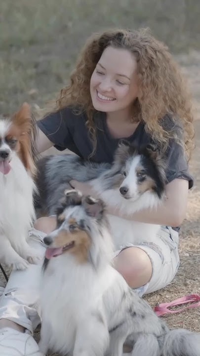 🌟 Hi, Animal Lover Friends! 🌟#AnimalLovers #SubscribeNow #LikeAndComment #reels - YouTube