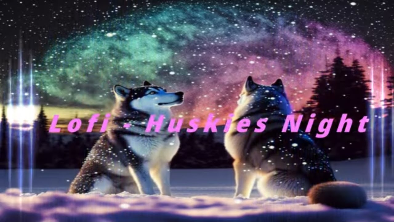 -4K- Lofi Siberian Husky Night, Stunning Siberian Huskies Study Video ...