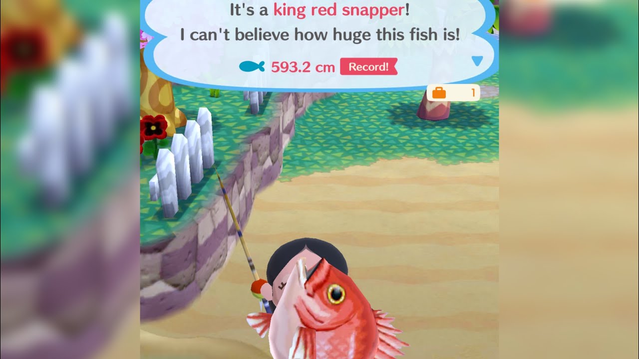ANIMAL CROSSING POCKET CAMP - Collection Fish Rare Items - YouTube