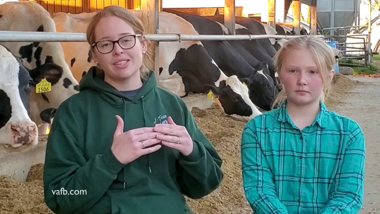 Real Virginia Episode #309 - YouTube