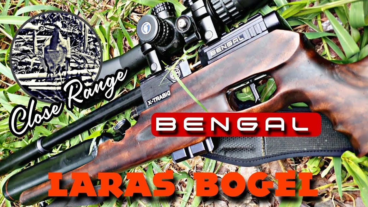 Hunting Test | BENGAL Classic - YouTube
