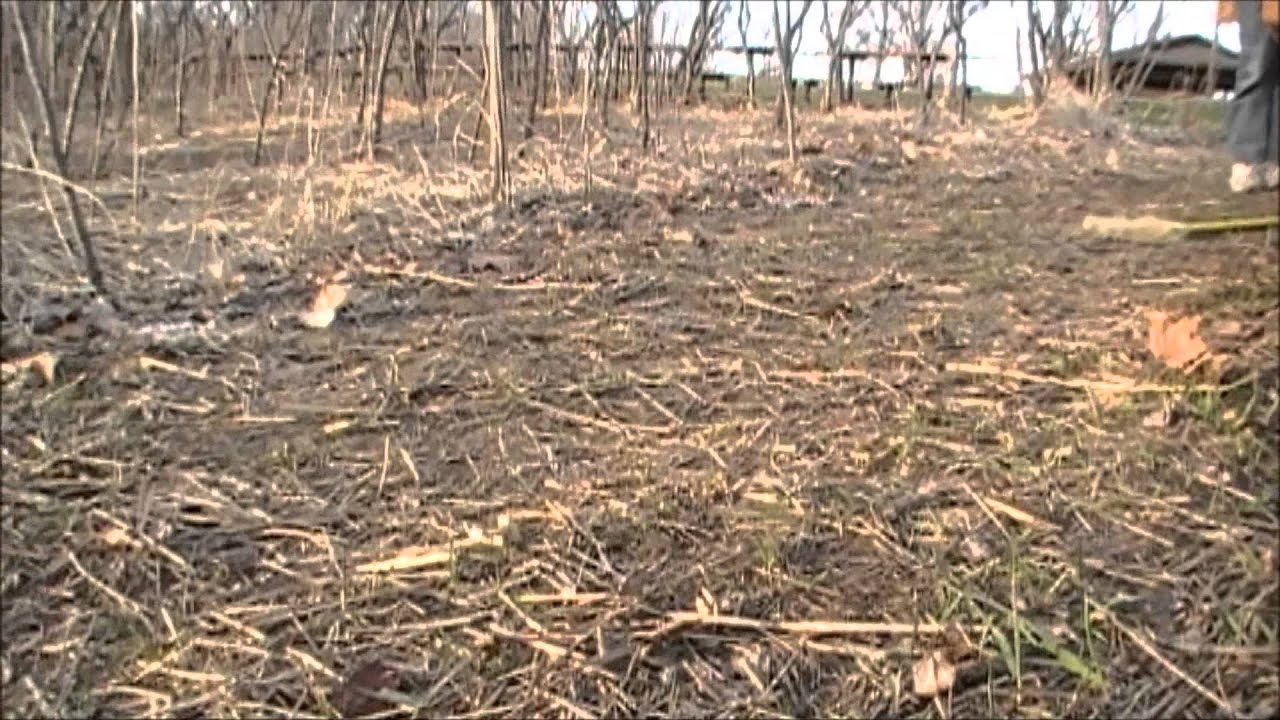 A game of Quittage a Short film - YouTube