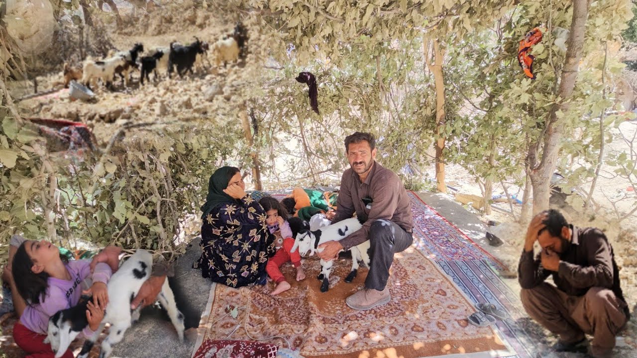 Ali is forced to sell her goats due to debt. - YouTube