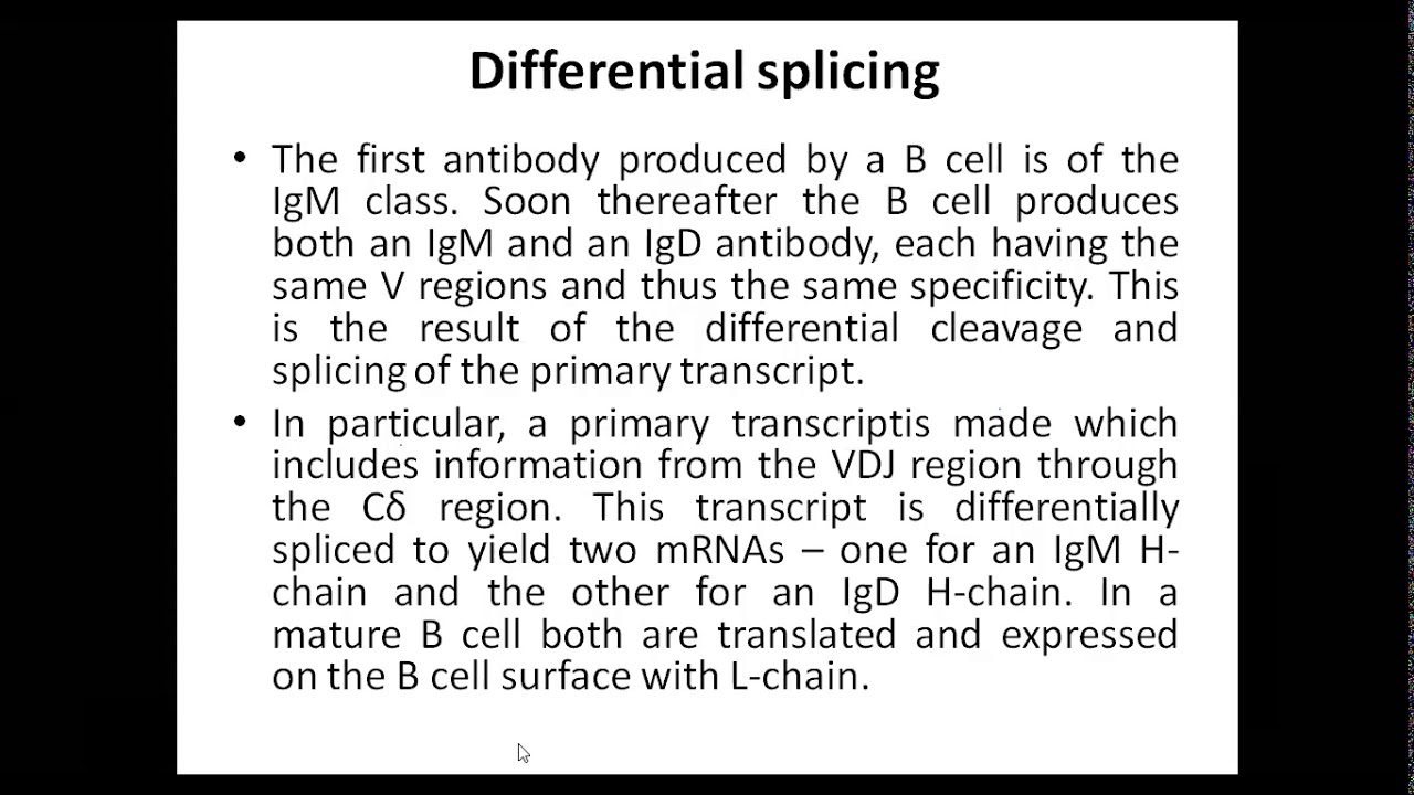 Differential splicing and class switching of B cells - YouTube