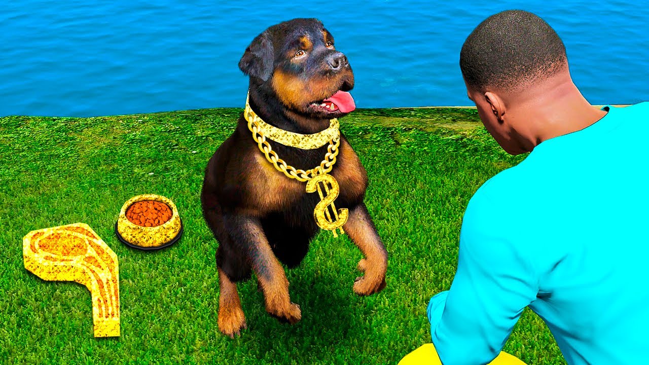 MELHOREI A VIDA DO CHOP NO GTA 5 - O FILME - YouTube