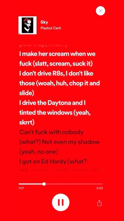 Sky Playboi Carti Lyrics Shorts Youtube
