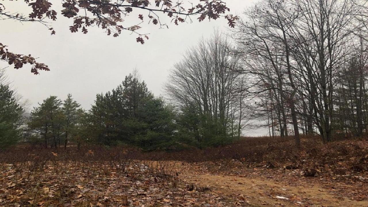 5775 syers Drive, Luther, MI Presented by Kolina Mako. - YouTube