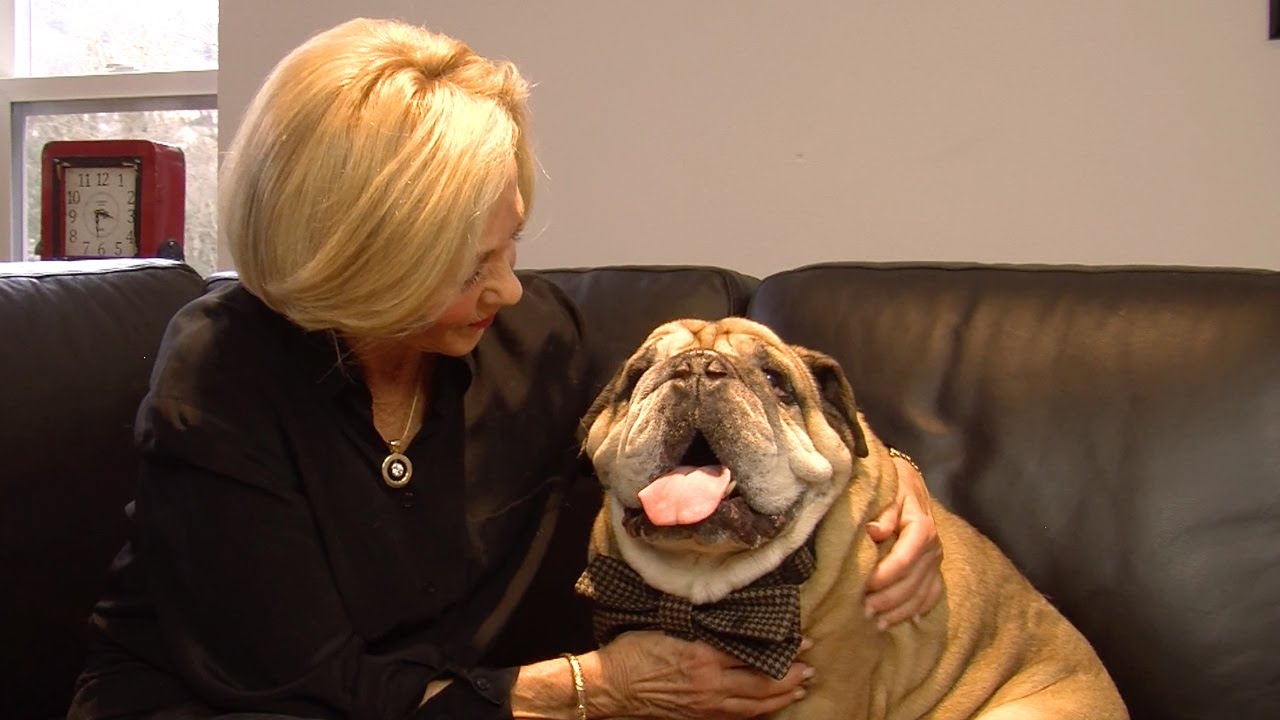 Interview with Carol Gardner - YouTube