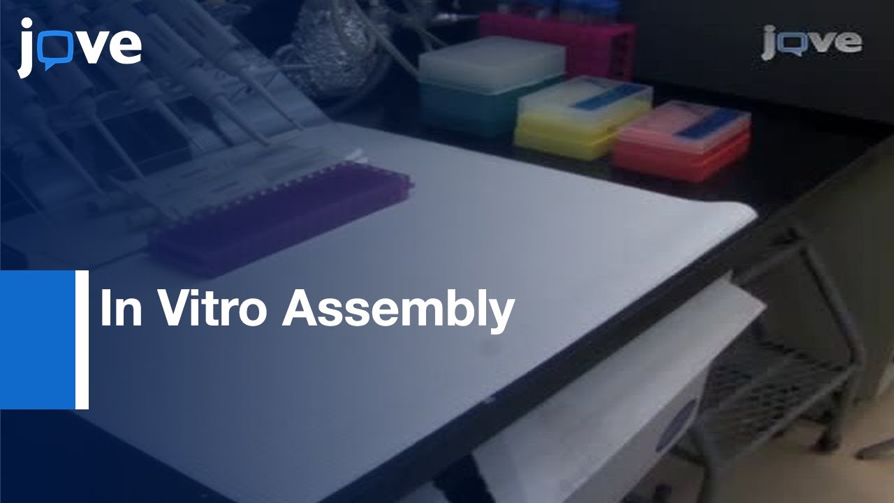 Assembly-Semi-Artificial Molecular Machine & Use For Detection: DNA ...