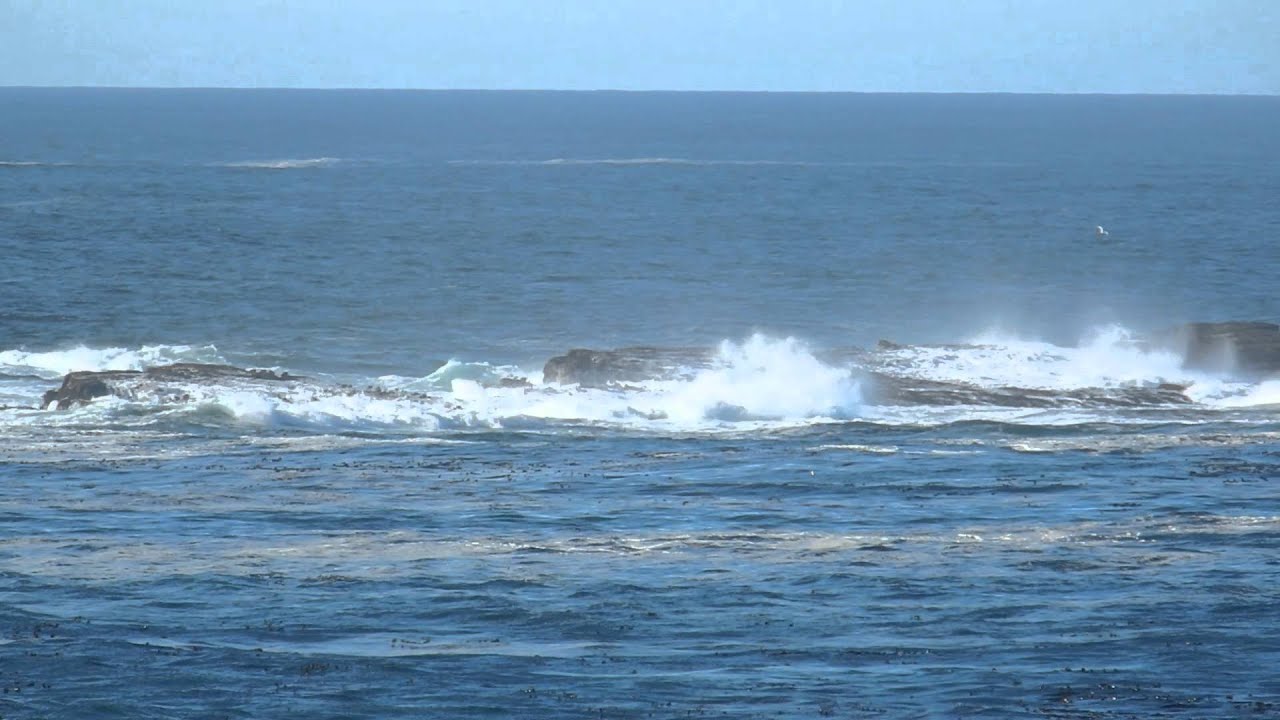 Simpson Reef - YouTube