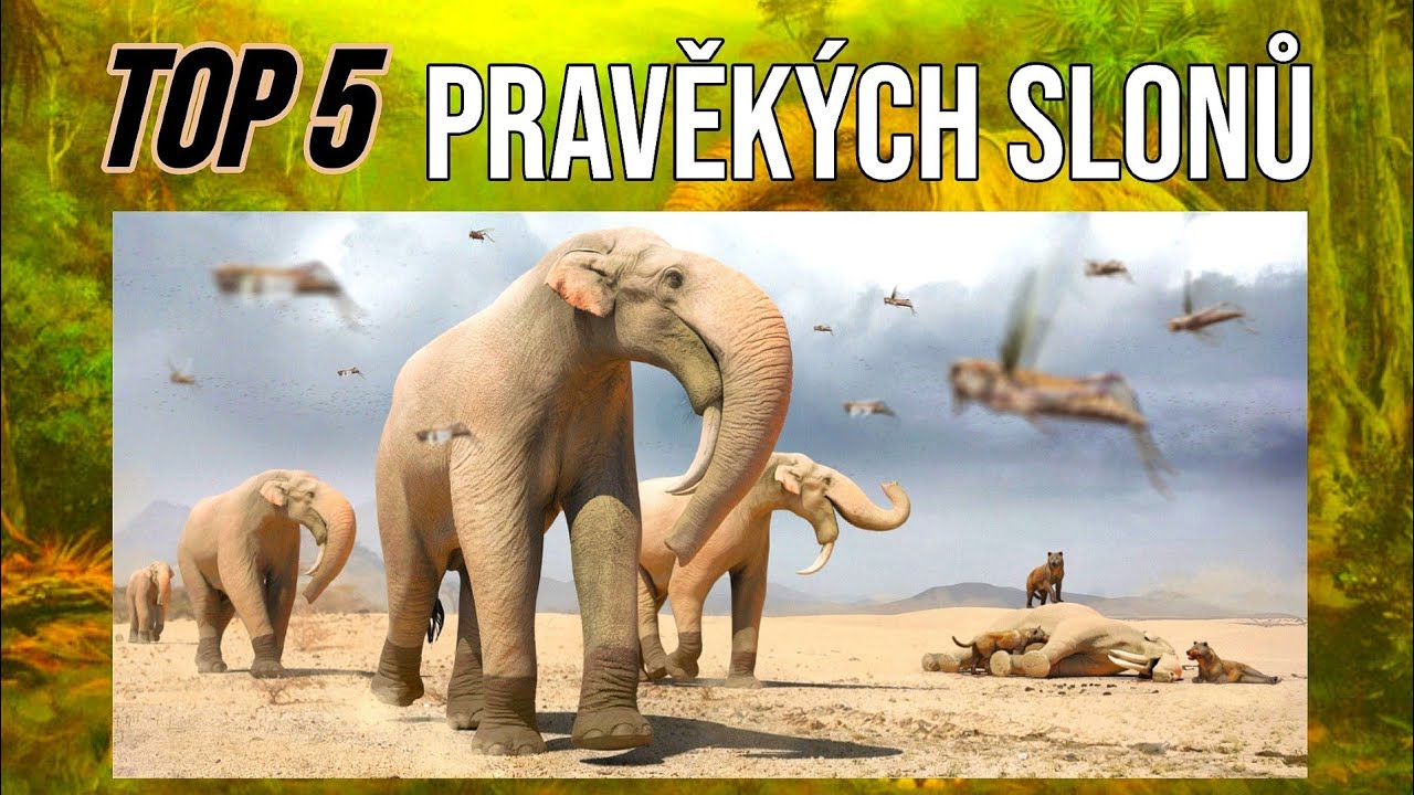 Top 5 Pravěkých slonů | Bruno - YouTube