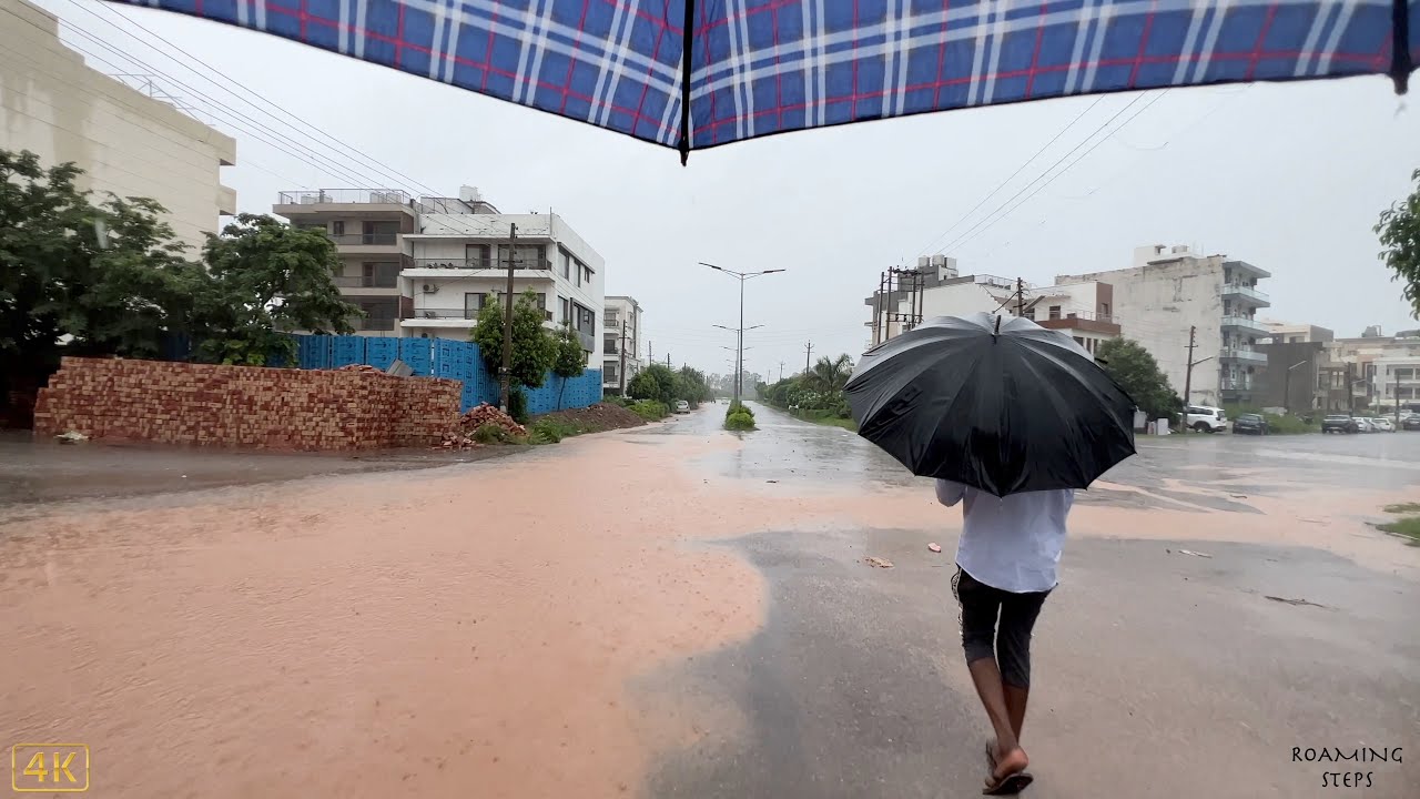 Immersive Heavy Rain Walk: Serene Park Stroll and Waterlogged Adventure ...